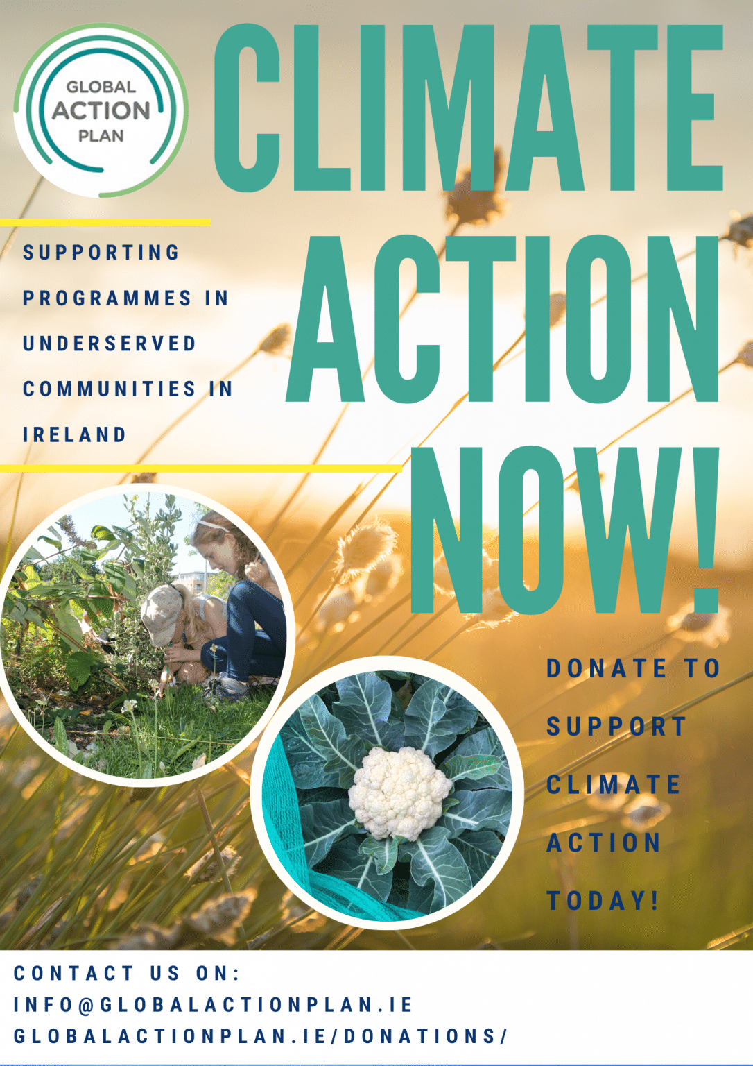 Climate Action Now! - Global Action Plan