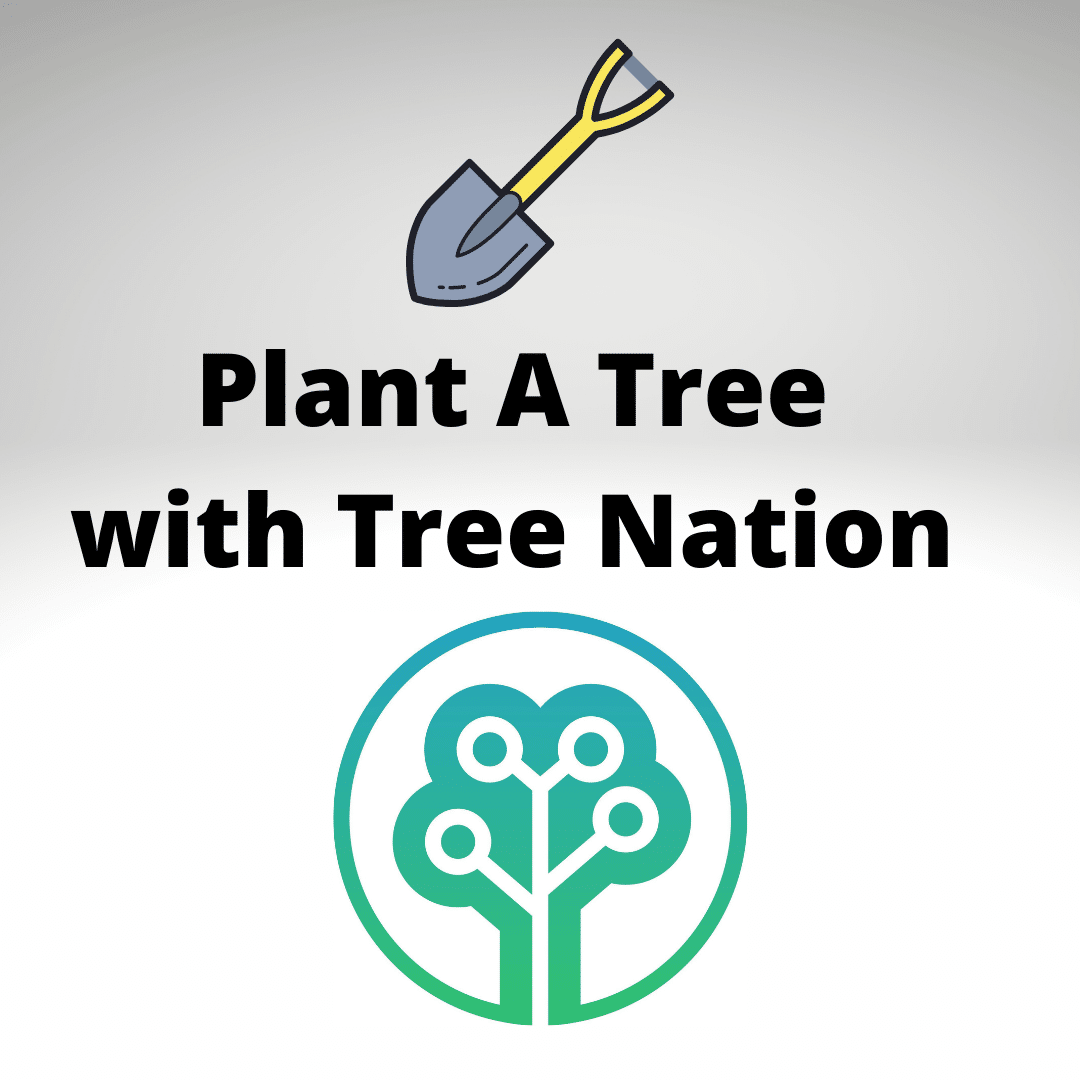 Plant A Tree for Earth Day - Global Action Plan